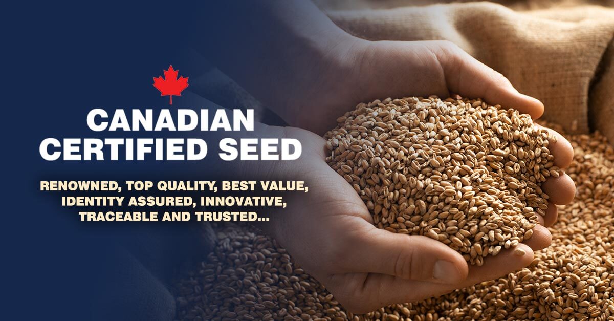 Home - Canadian Certified Seed